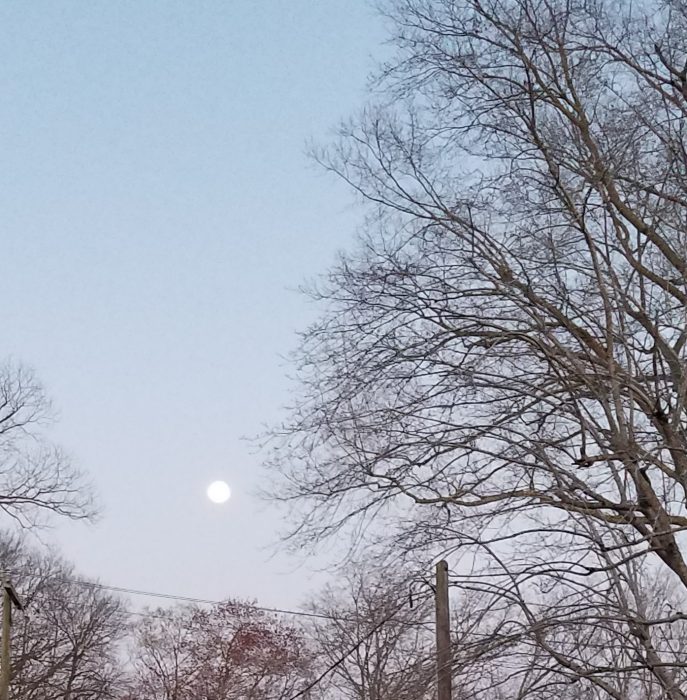 Vernal Equinox & Worm Moon 2019 « Cosmic-Observation