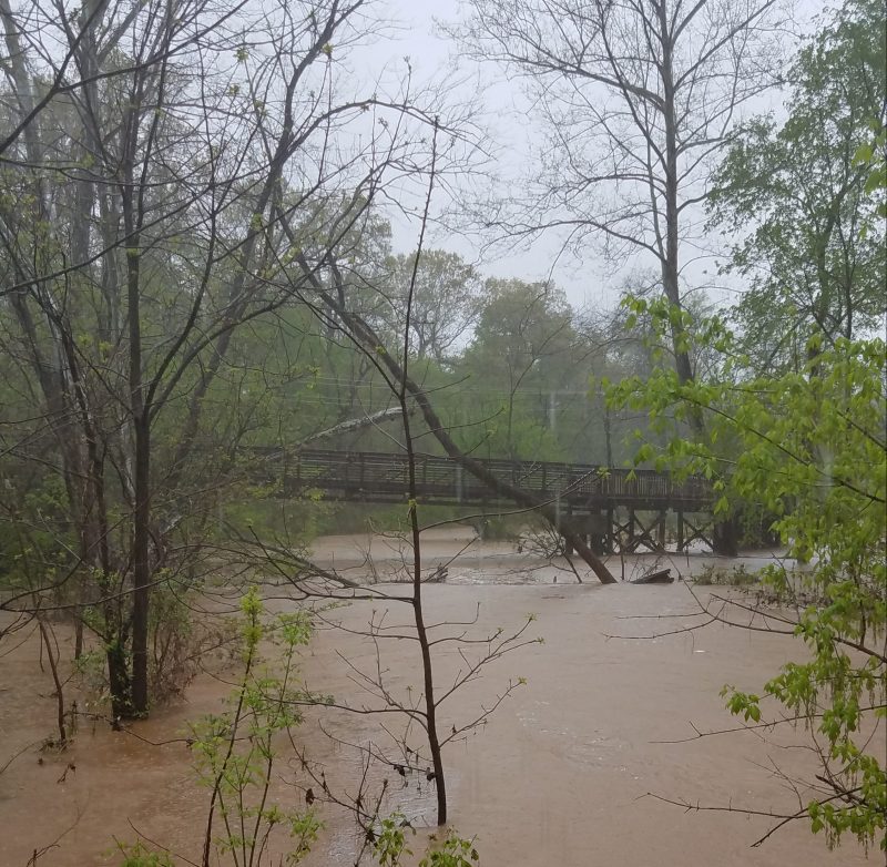 Shutterbug Saturday: Frog Strangler 2.0 « Cosmic-Observation