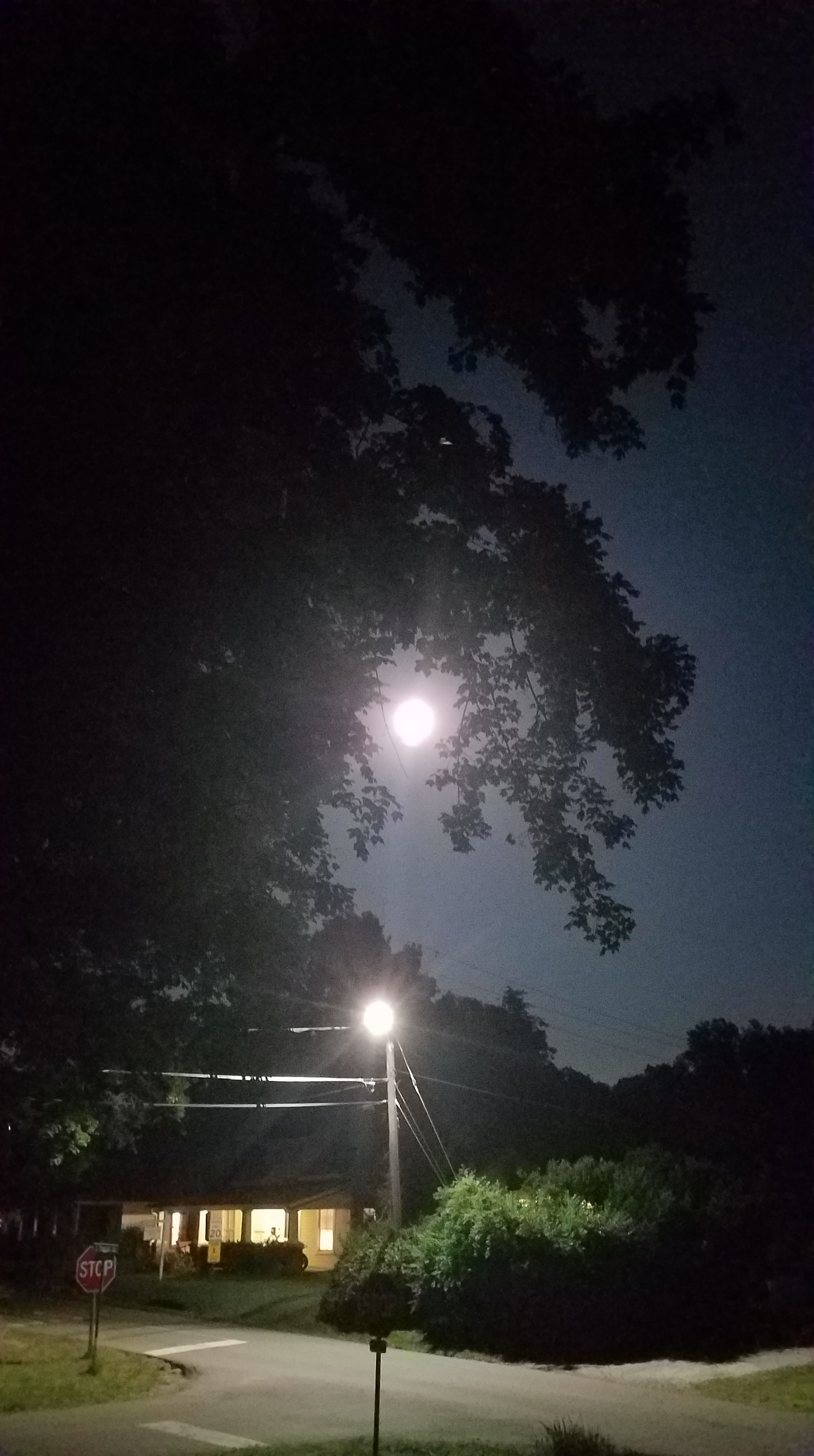 Flower Moon 2019 « Cosmic-Observation