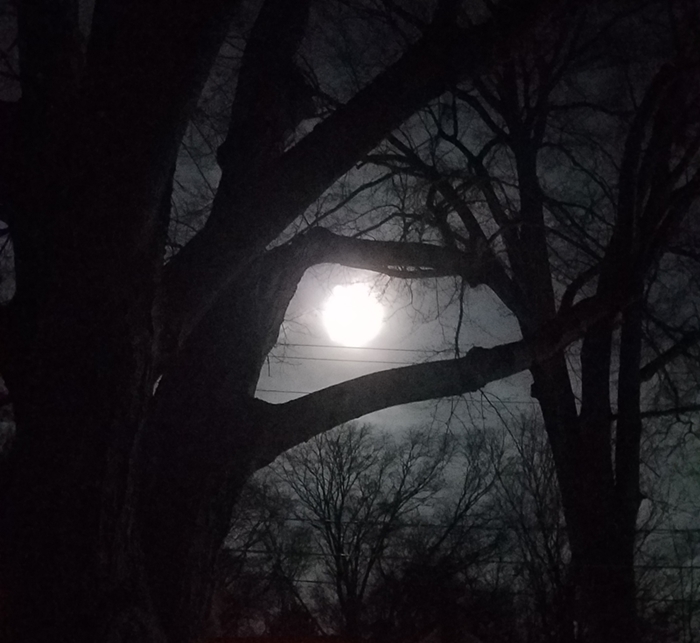 Snow Moon 2020 « Cosmic-Observation